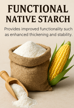 Functional Native Starch Market Key Trends and Future Growth ...